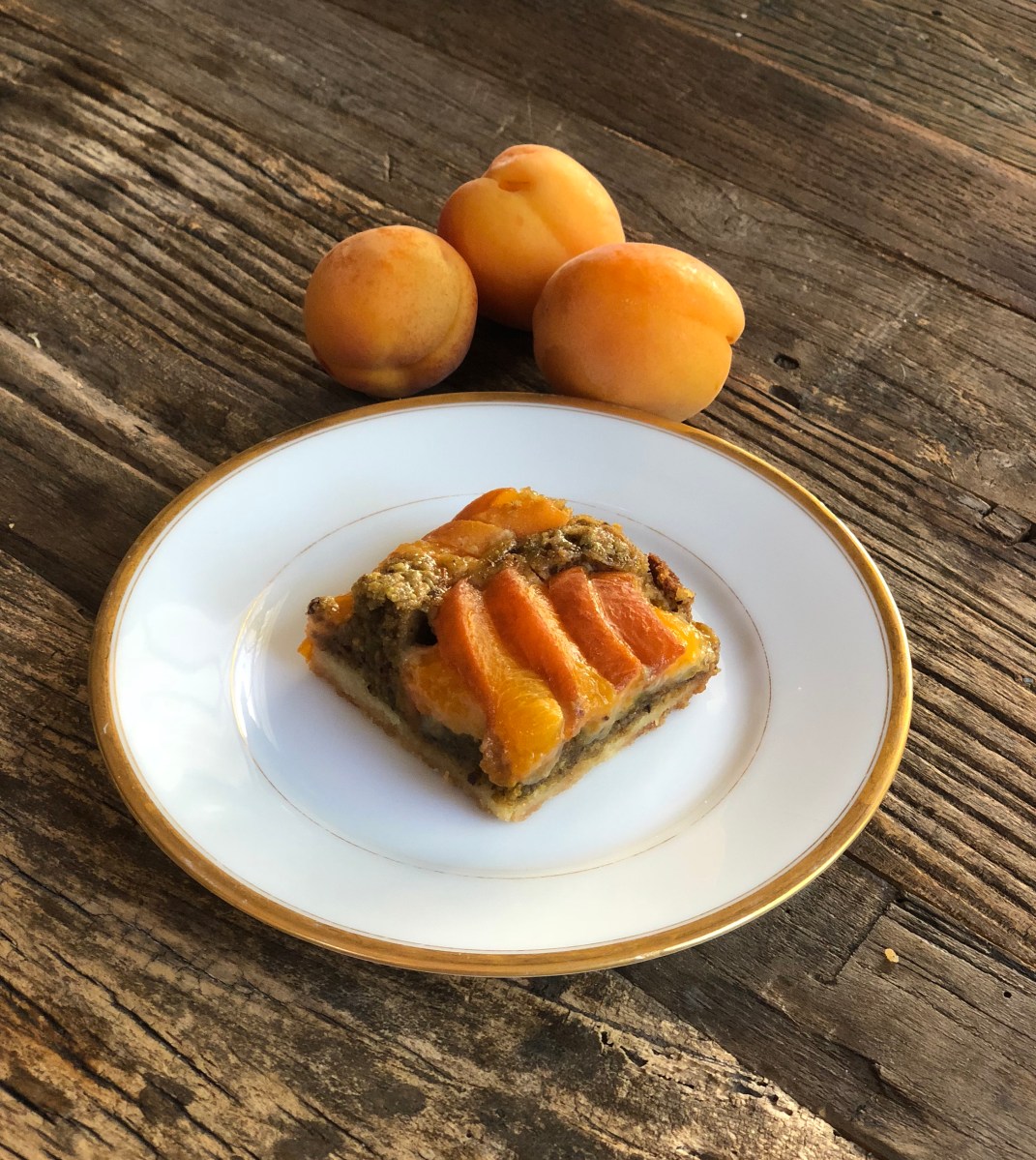 Apricot Pistachio Bars – A Bee Bakes